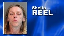 MUGSHOTS: Undercover operation results in 13 prostitution arrests ...