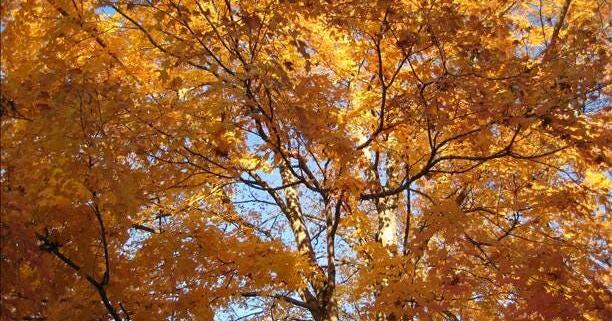 Fall Events in the Chattanooga Area | | local3news.com