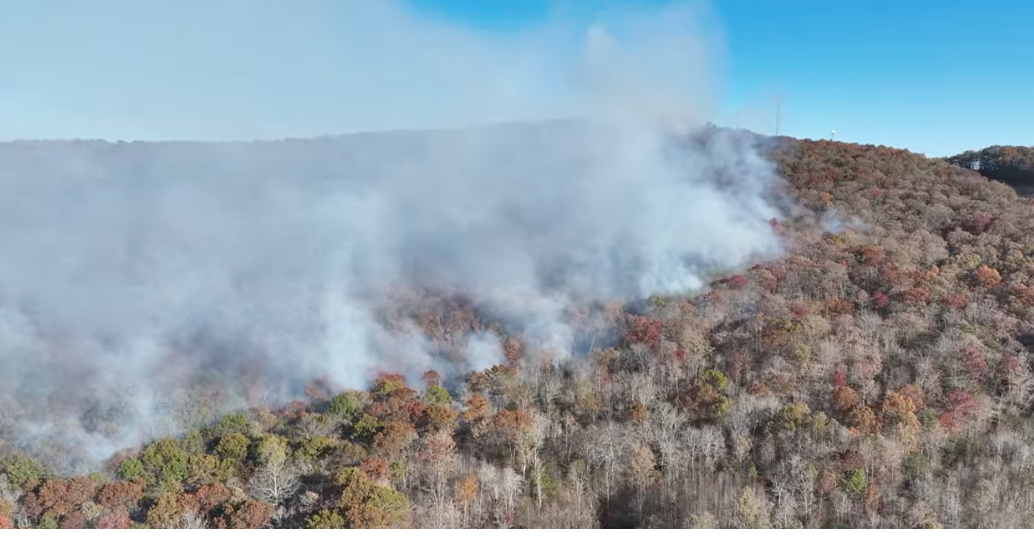 Georgia Forestry Commission warns of fire danger amid dry conditions ...