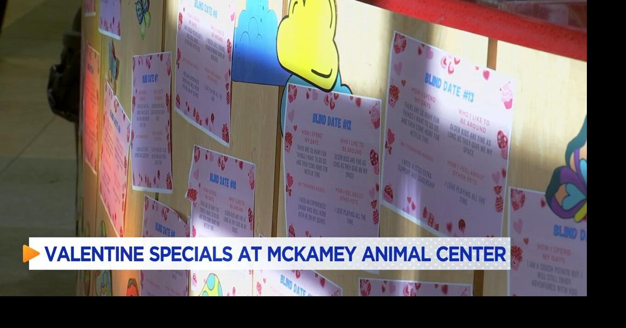 Valentine specials on adoptions at McKamey Animal Center | Local News ...