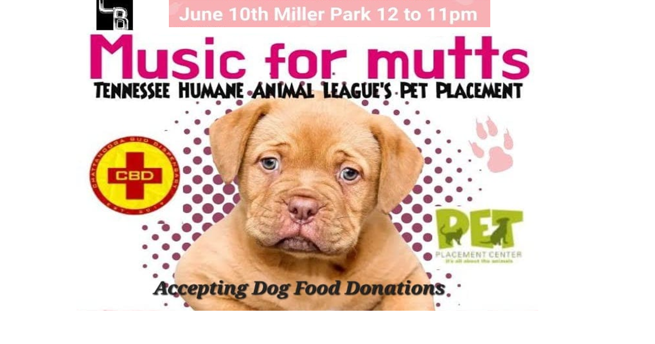 Music for Mutts, pet-friendly music festival, is this Saturday | Local ...
