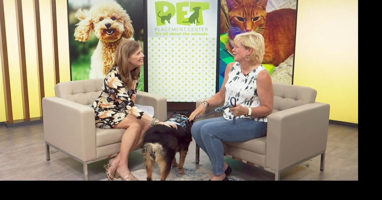 3 Plus Your Pets- Pet Placement Center | Local 3 Plus You | local3news.com