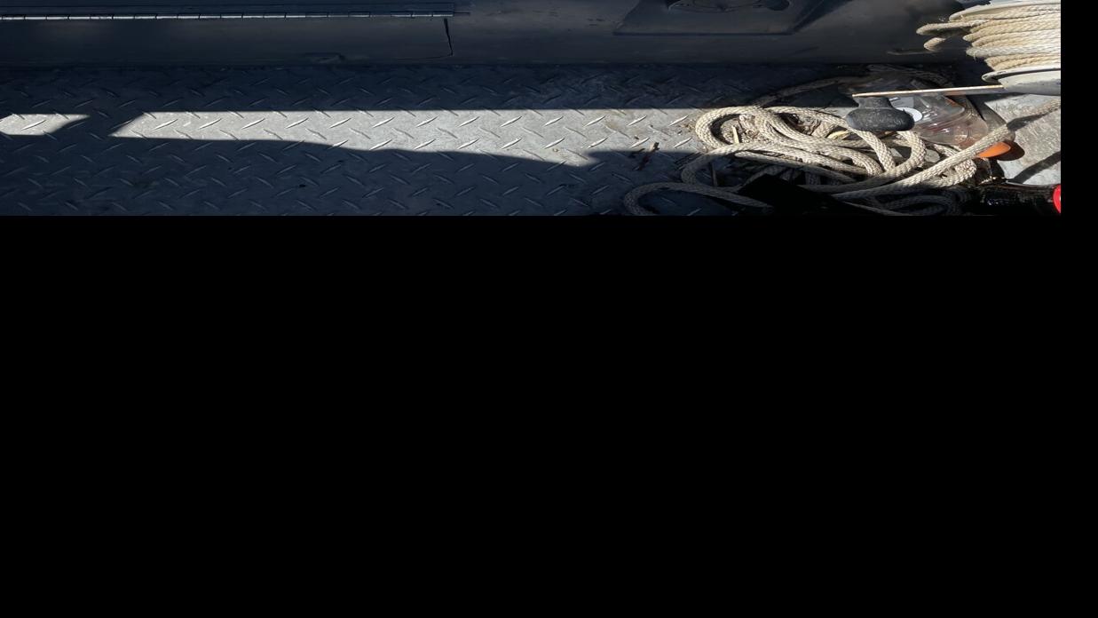 TWRA biologists investigate dead catfish found in Chickamauga Lake ...