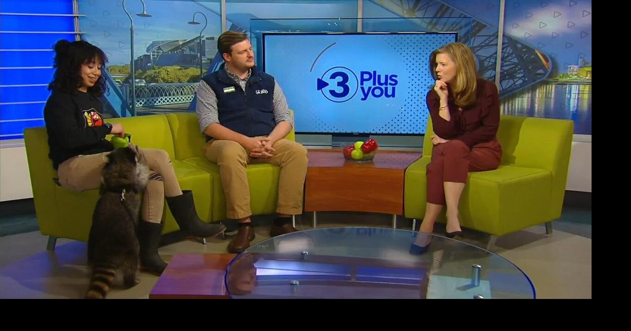 3 Plus Your Community- Chattanooga Zoo | Local 3 Plus You | local3news.com