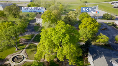 Chattanooga Trees: The Bonny Oaks Willow Oak | What's Trending ...