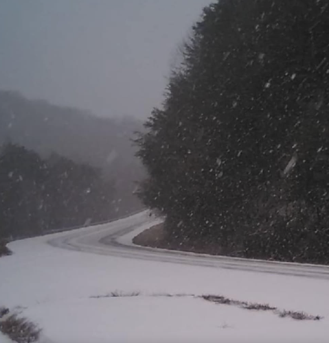 Polk County road conditions | | local3news.com