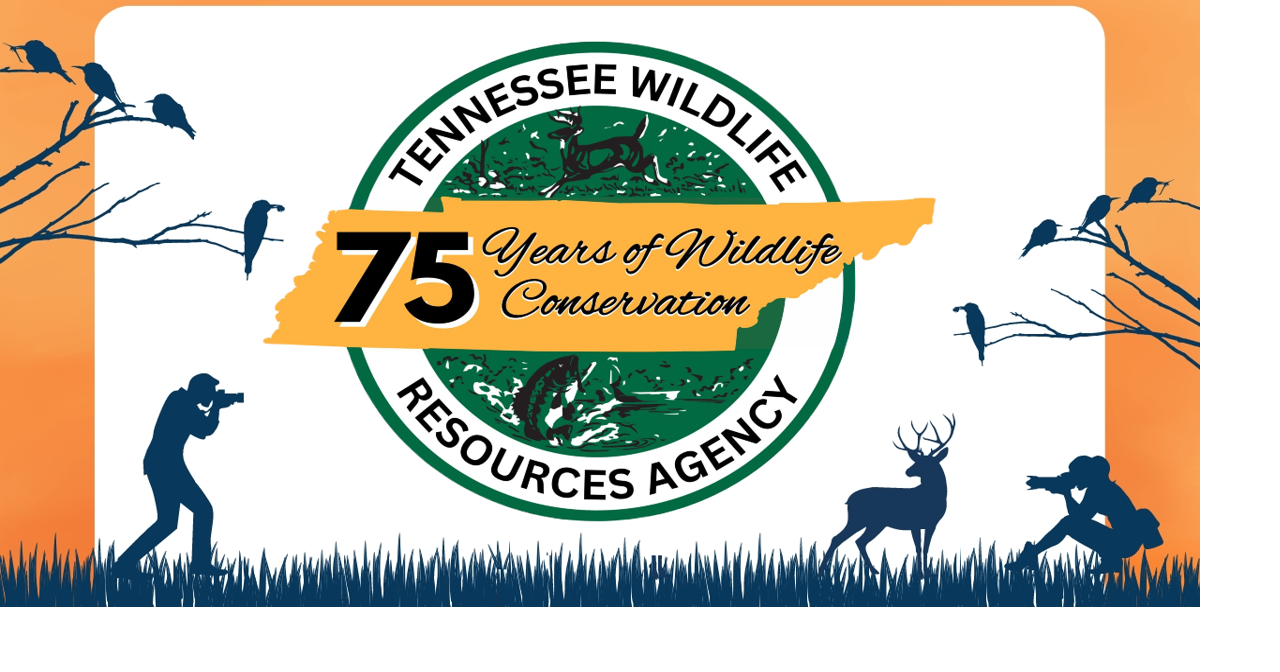 Knoxville attorney appointed to Tennessee Fish and Wildlife Commission ...