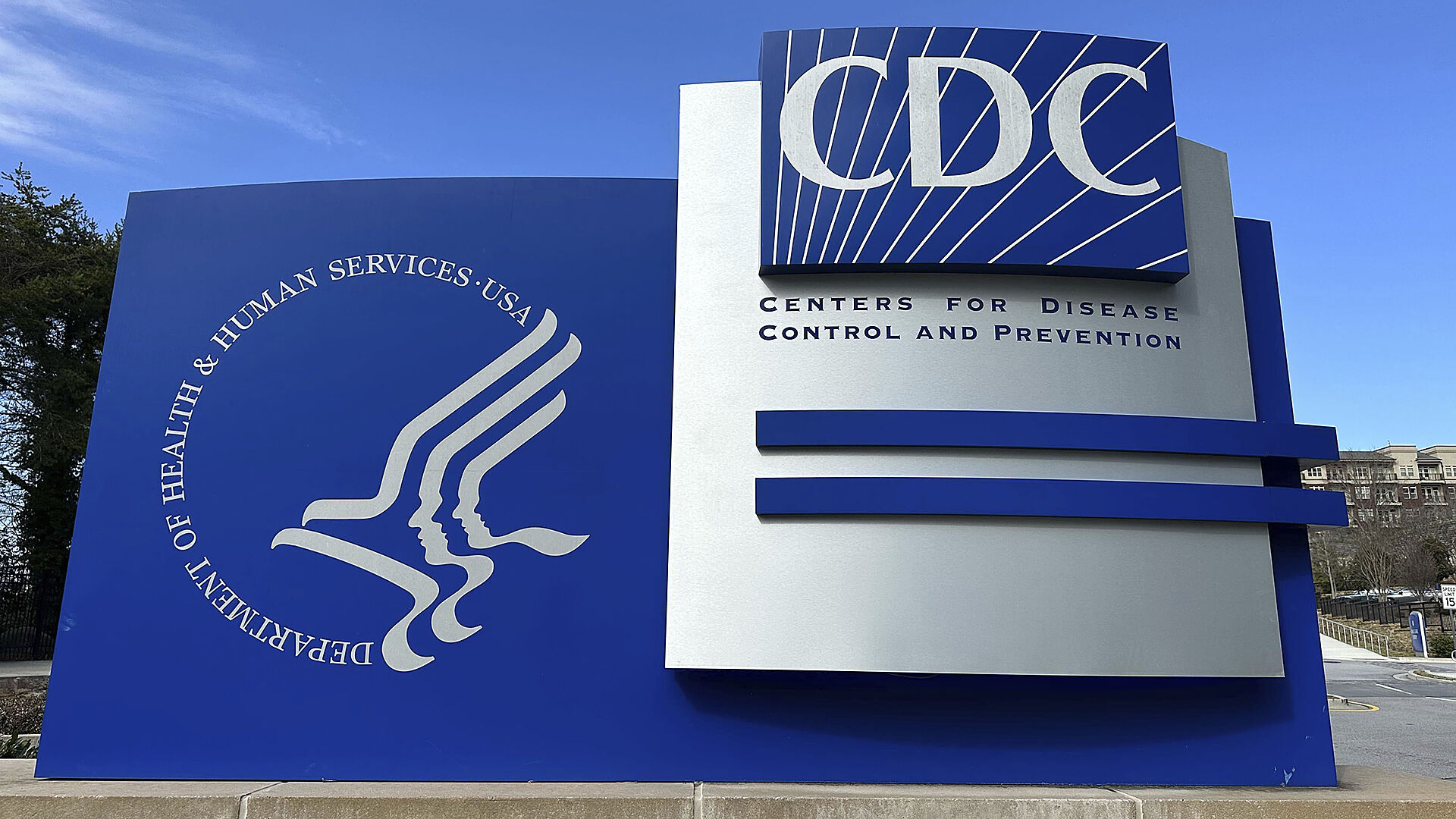 CDC ends emergency response to H5N1 bird flu | Local News | local3news.com