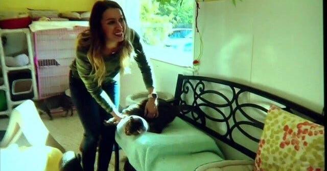 3 Plus Your Pets- Pet Placement Center | | local3news.com