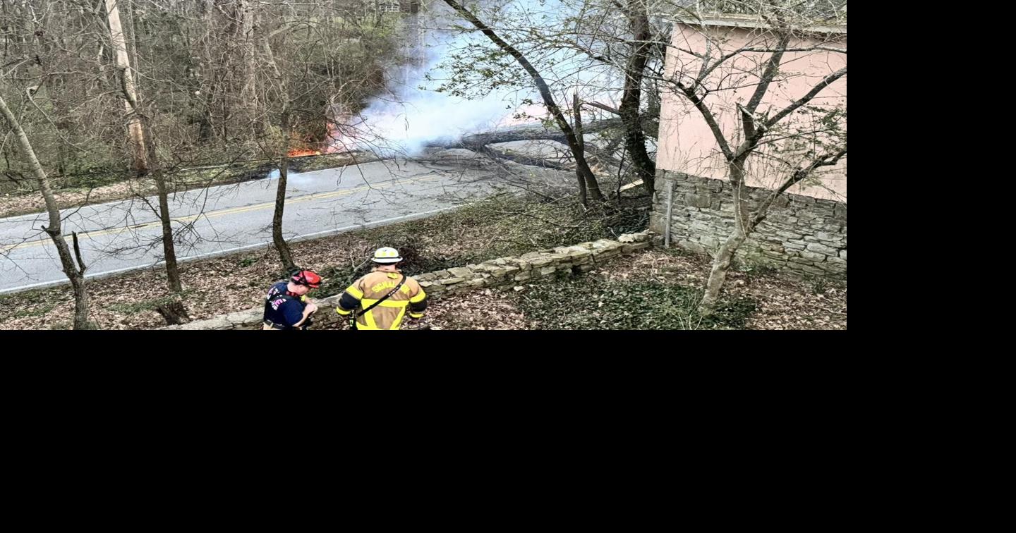Tree Falls on Power Lines, Sparking Grass Fire | Local News ...