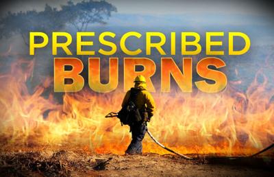Controlled Burn Off Daniel Trace Drive in Dade County | Local News ...