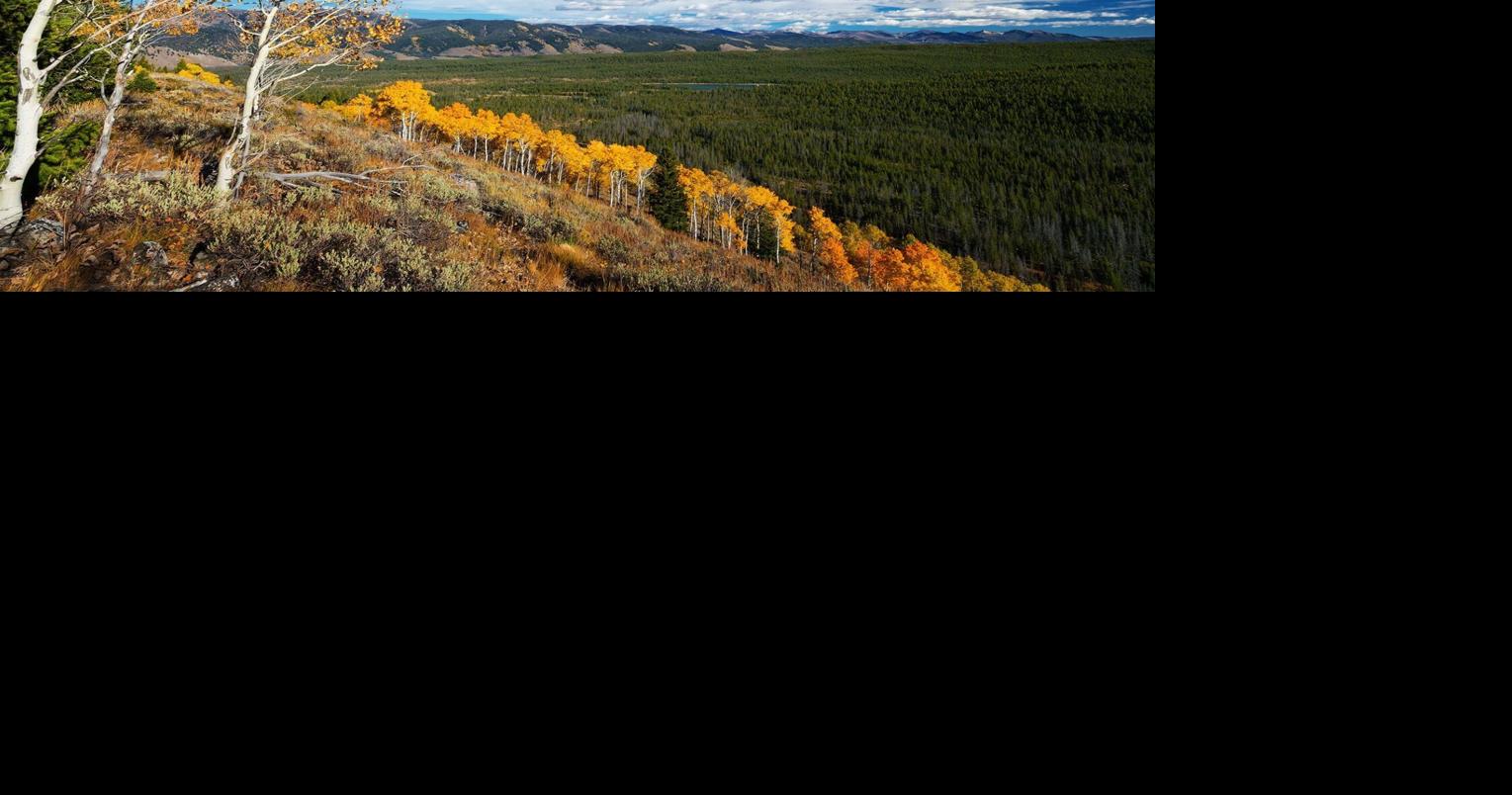 6 scenic drives across the US where you can get your fall foliage fix ...