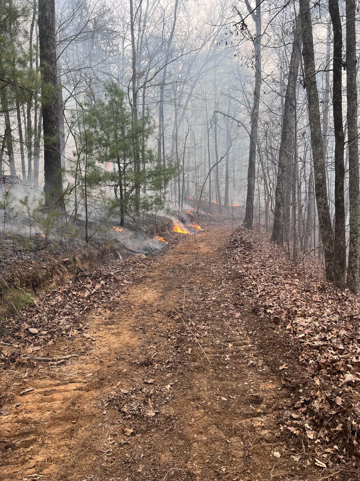 Georgia Forestry Commission Updates on Chatsworth Fire | Local News ...