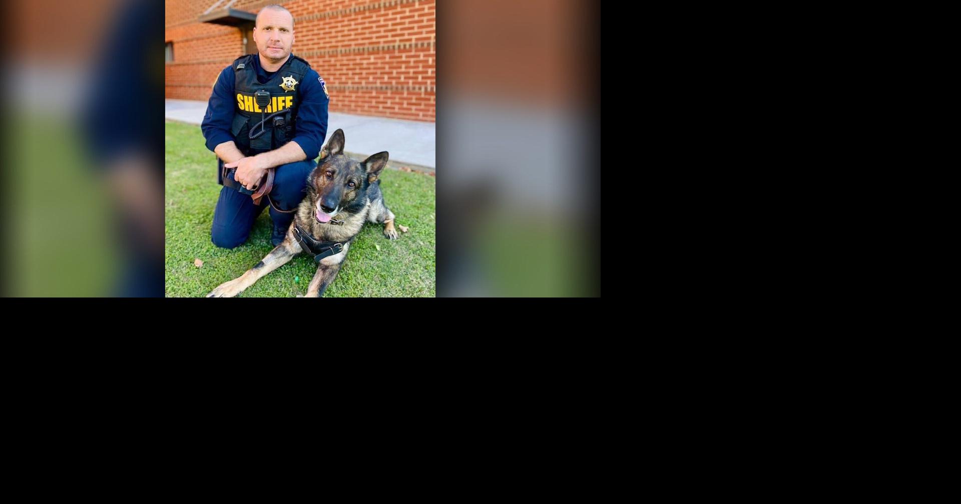 BCSO shares body cam video of K9 Joker's first day back after recovery ...