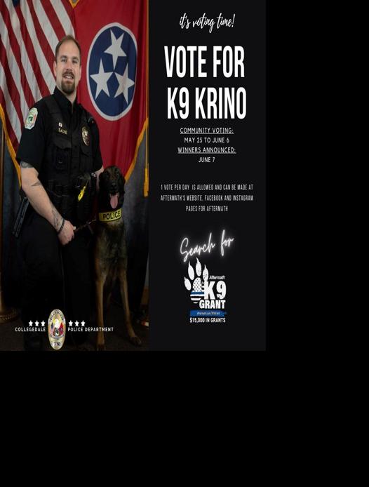 Three local law enforcement agencies competing for K9 grant | Local ...