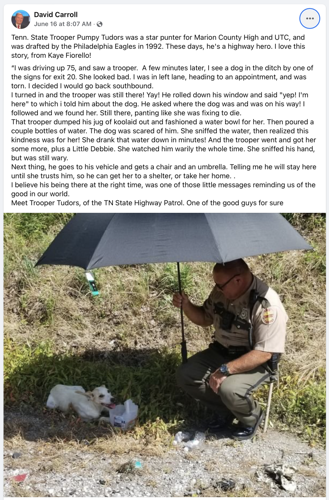 UPDATE: Dog found on I-75 & adopted by THP trooper living her best life ...