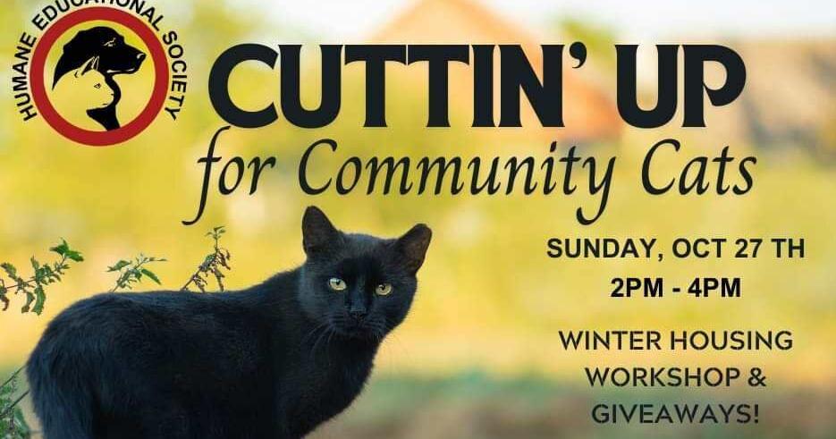 HES presents Cuttin' up for Community Cats | Local News | local3news.com
