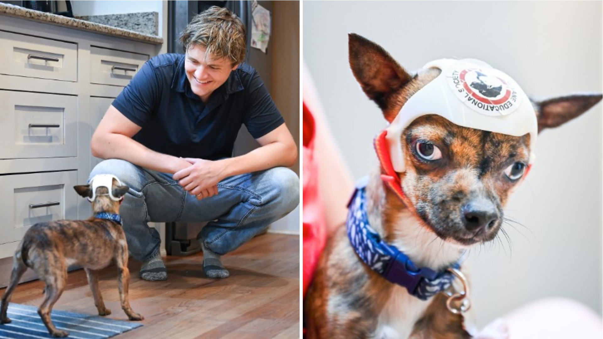 UTC Engineering Student's Innovative Solution for Rescue Pup | Local ...
