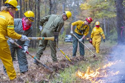 Prescribed Burns for Biodiversity at Berry College | Local News ...
