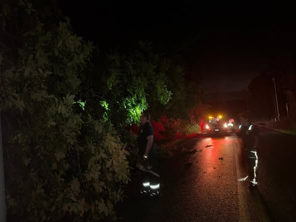 Multiple downed trees prompt busy night for Lone Oak VFD | Local News ...