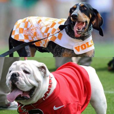 VOTE: Which SEC 'pup" is better, Uga or Smokey? | | local3news.com