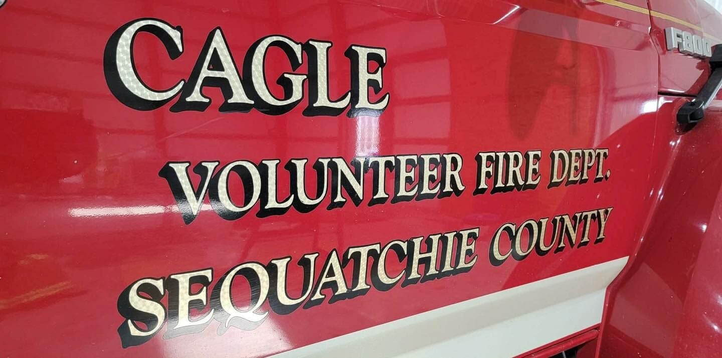 Person injured after tree falls, prompting rescue response in ...