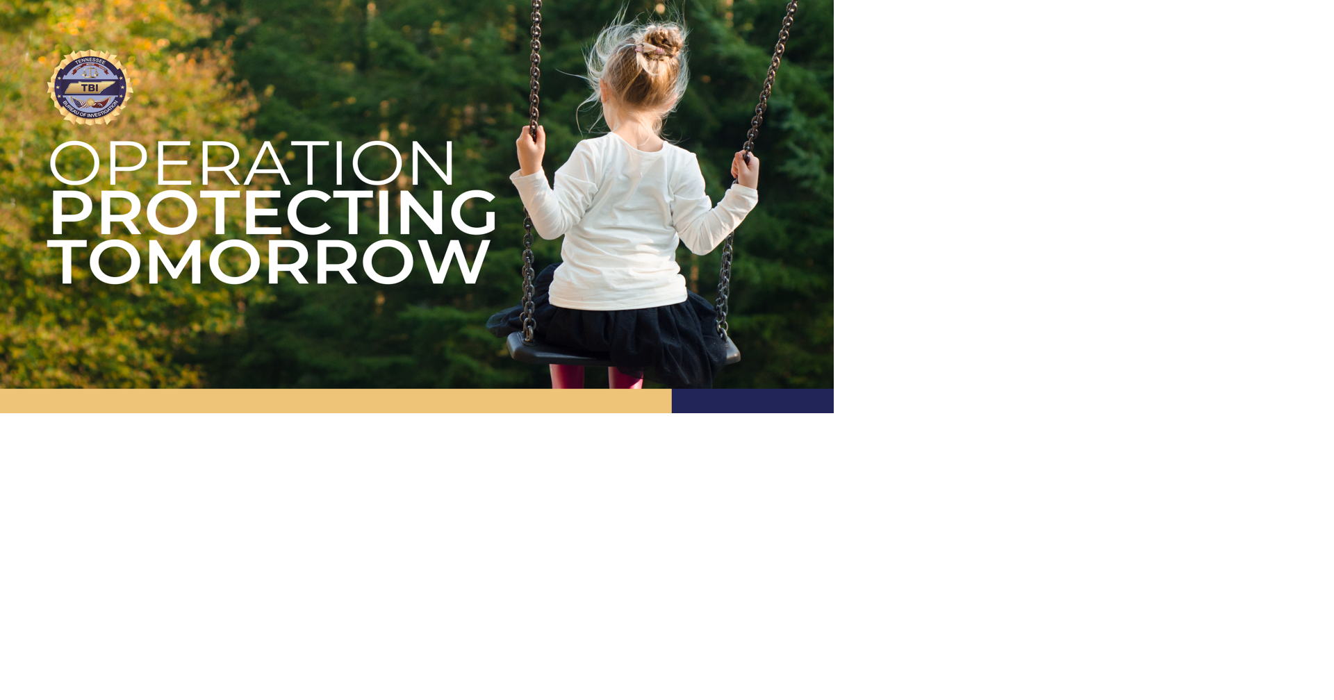 TBI’s ‘Operation Protecting Tomorrow’ yields 12 arrests, identifies two ...