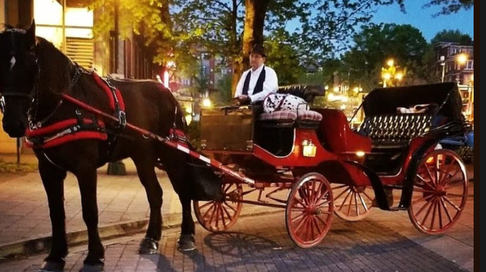 Chattanooga carriage driver honored for 25 years of service | Local ...