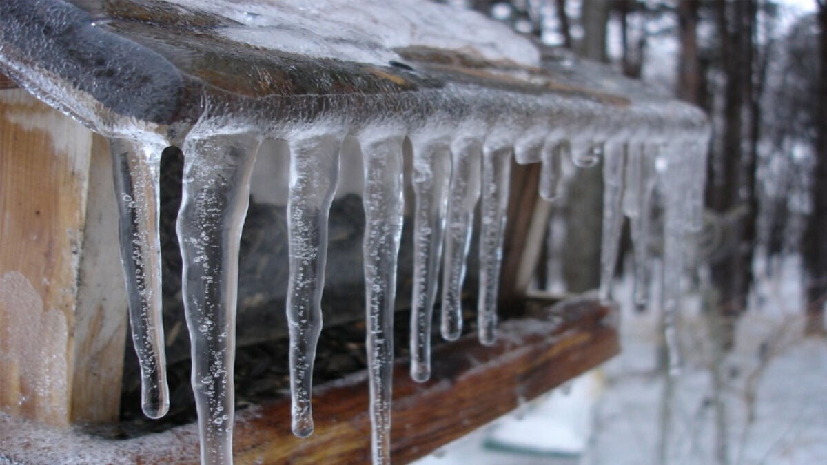 Tennessee family forced to sleep in car after winter storm floods ...