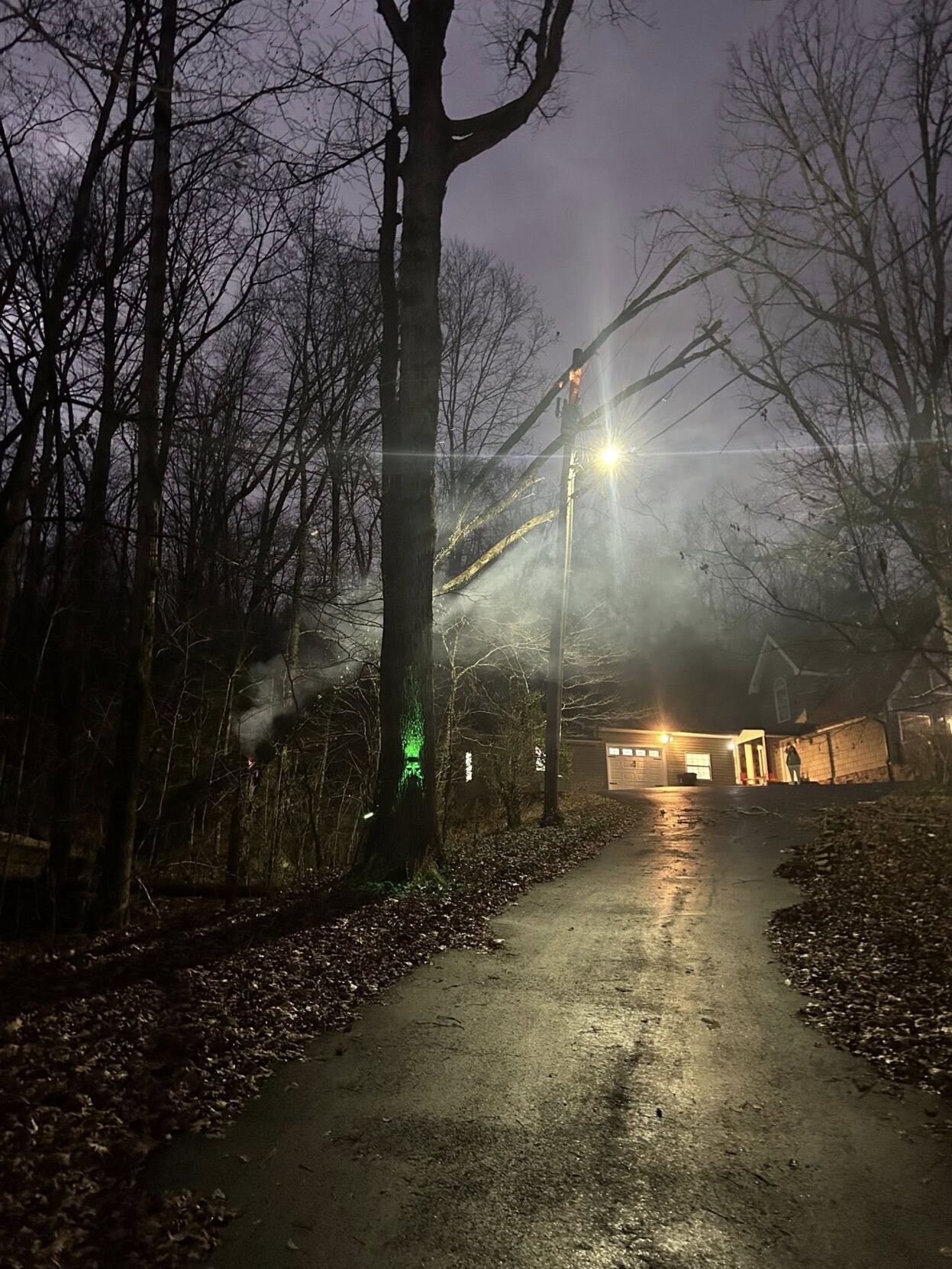 Tree fire on electrical lines in Dunlap | Local News | local3news.com