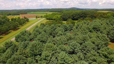 Tennessee residents can reserve trees for Tree Day planting | Tennessee ...