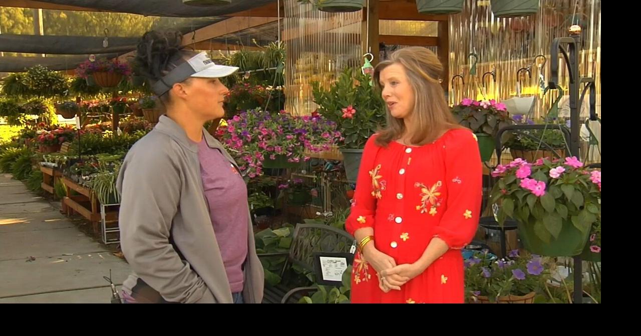 3 Plus Your Community- Hughes Farmer's Market | Local 3 Plus You ...