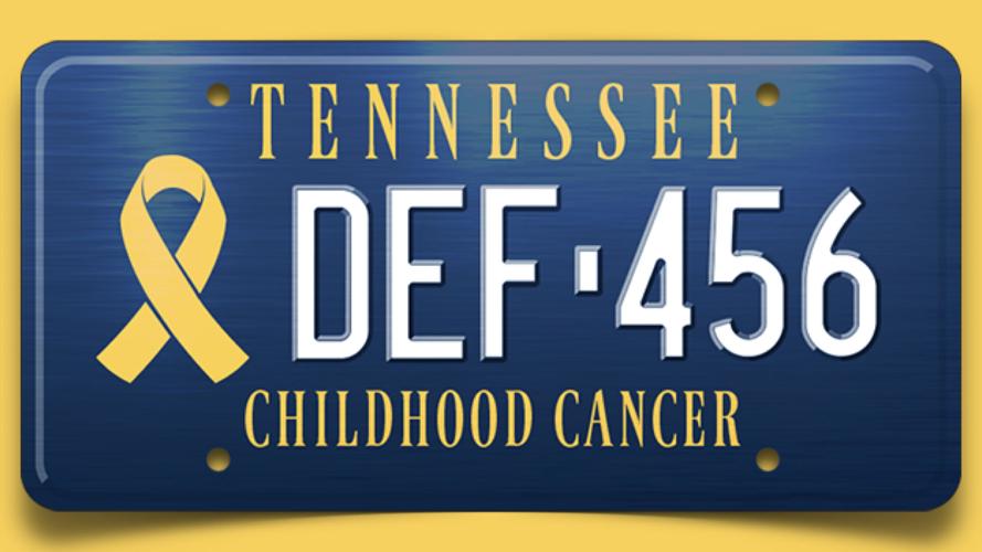 Honoring Grayson: Childhood Cancer License Plate Initiative | Local ...