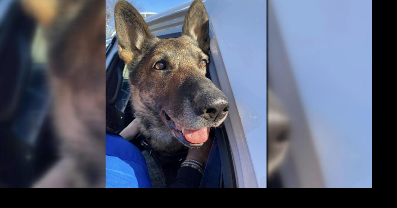 A Whitwell-based non-profit will cover medical costs for injured ...