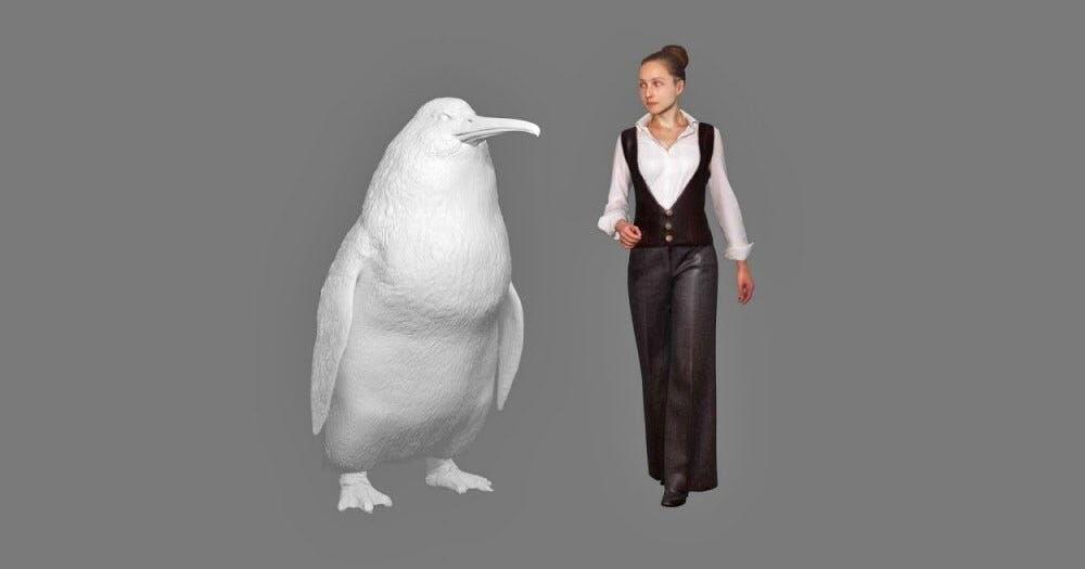 Human-sized 'monster' penguin species discovered in New Zealand ...