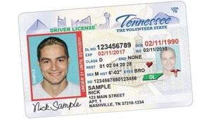 New ways to re-instate your TN driver's license | What's Trending ...