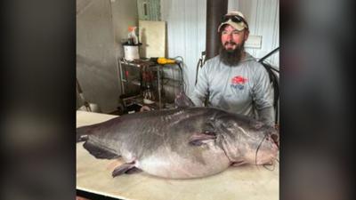 Massive catfish caught in TN | Local News | local3news.com