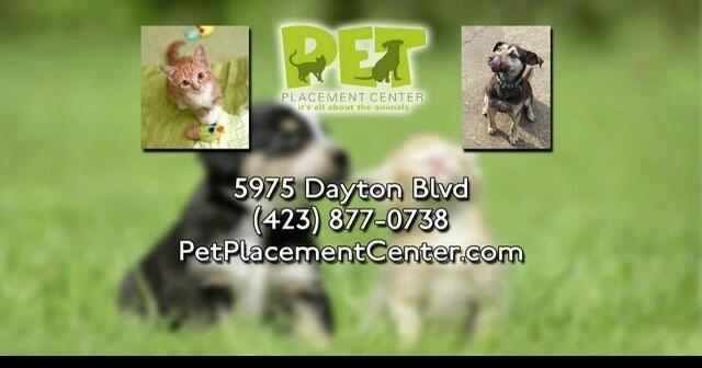 3 Plus Your Pets- Pet Placement Center | | local3news.com