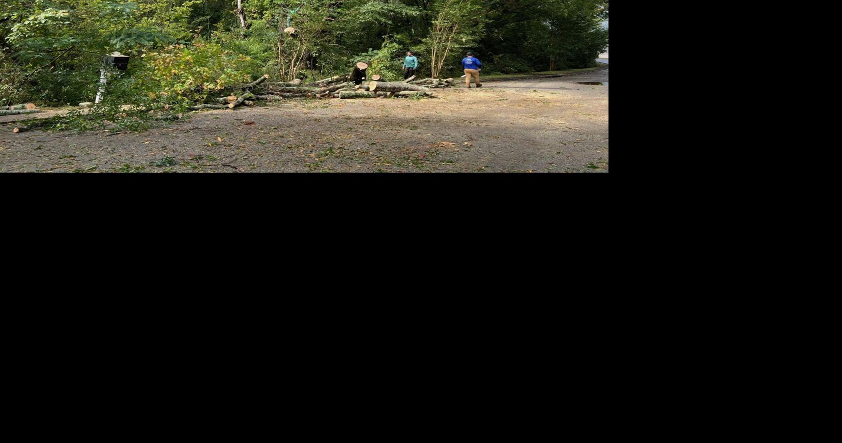 Fallen tree blocks Hixson residents in aftermath of Helene | Local News ...