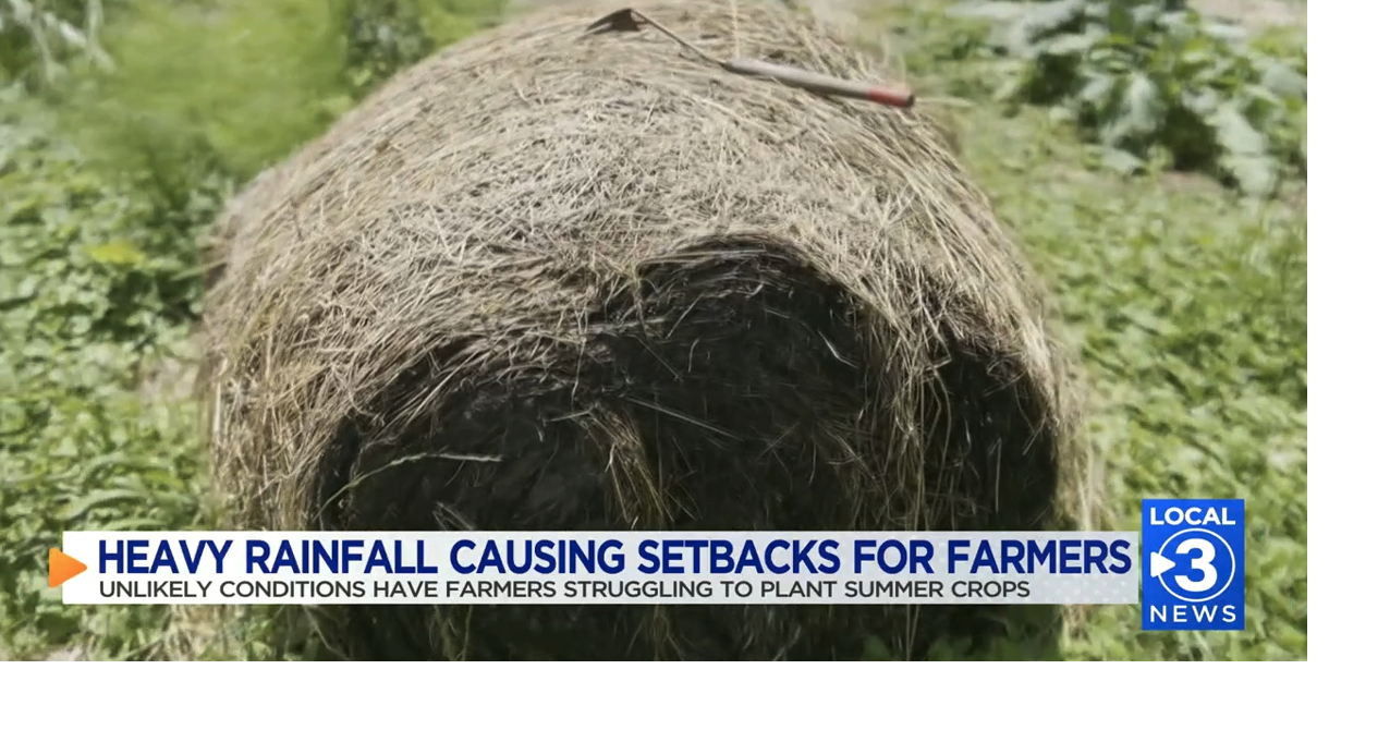 Challenges of Spring Planting Due to Heavy Rainfall | Local News ...
