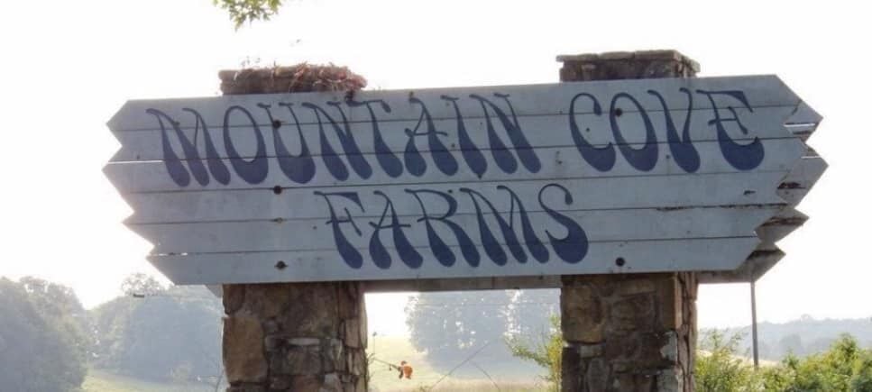 Mountain Cove Farms sign stolen in 2024 found dismantled | Local News ...