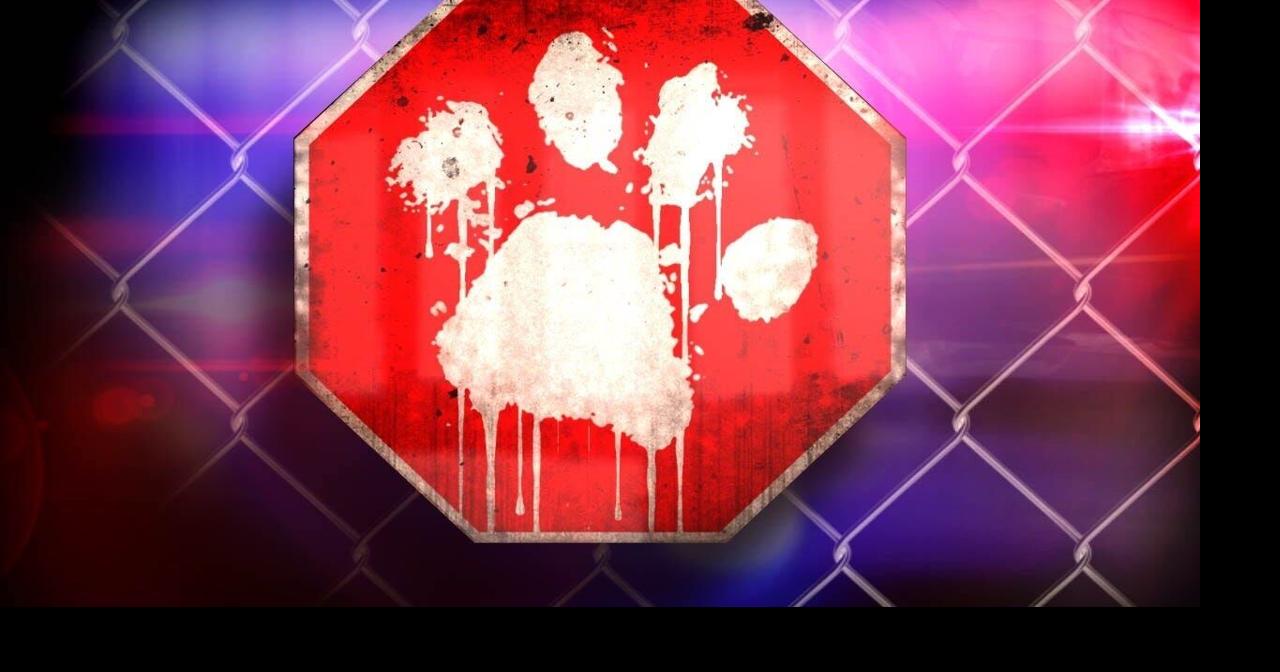 Disturbing Case of Animal Neglect and Child Neglect | Local News ...