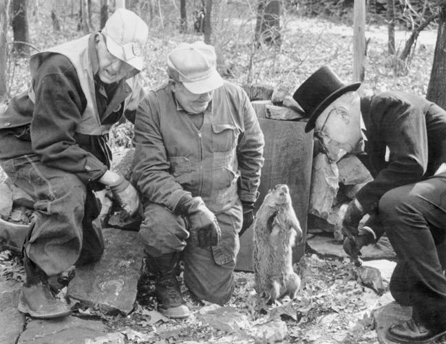 UPDATE: Punxsutawney Phil says we'll have an early spring | Regional ...