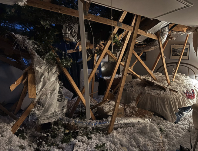 Tree Falls Through Townhome Units on Taft Highway | Local News | local3news.com