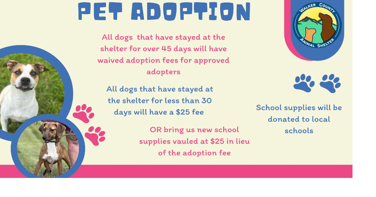 Walker County Animal Shelter is waiving adoption fees through July ...