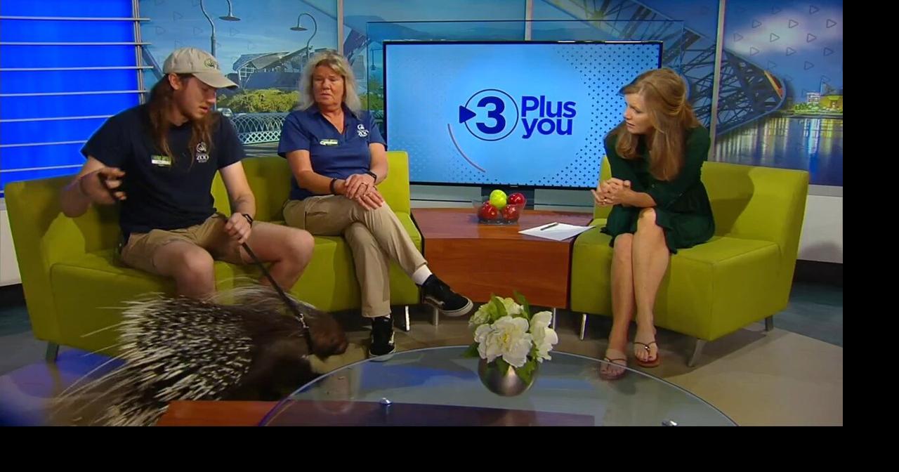 3 Plus Your Community- Chattanooga Zoo | | local3news.com