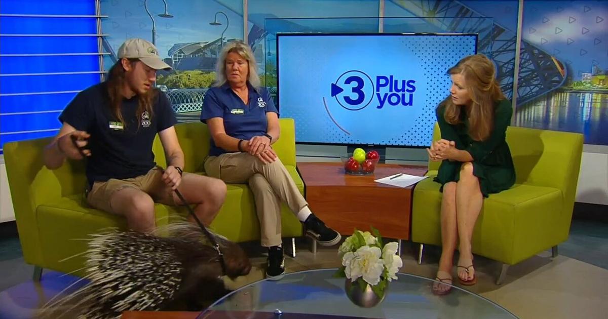 3 Plus Your Community- Chattanooga Zoo | | local3news.com 3 Plus Your Community- Chattanooga Zoo | | local3news.com