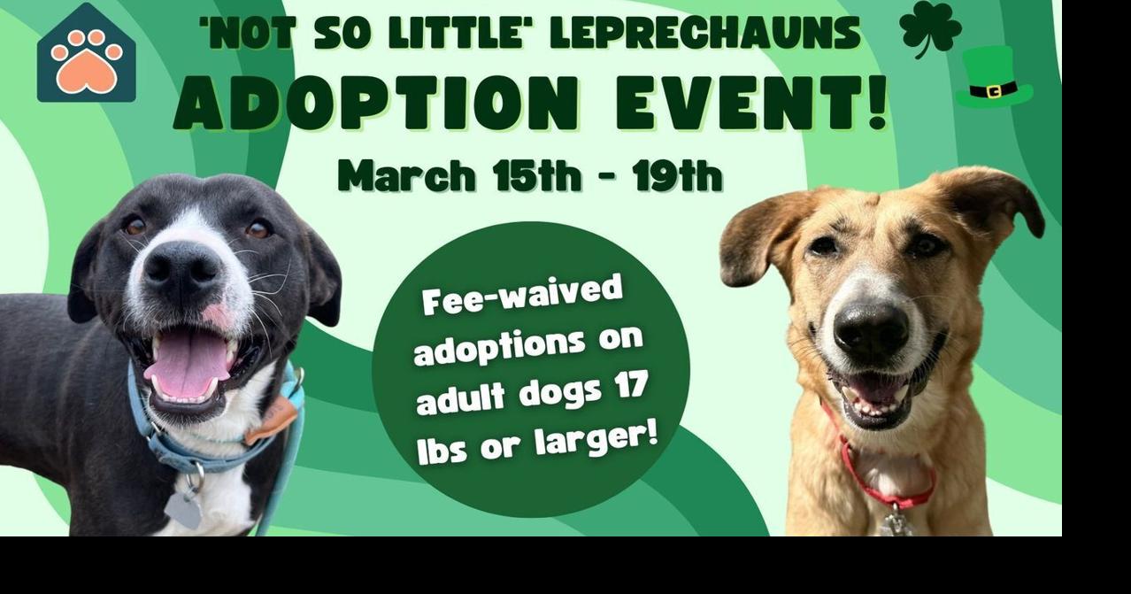 McKamey Animal Center waiving adoption fees through March 19 | Local ...