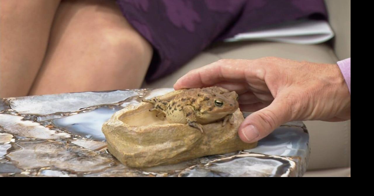 3 Plus Your Community- Reflection Riding | Local 3 Plus You ...