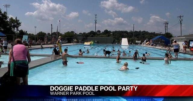 McKamey sponsors dog swim at Warner Park pool | | local3news.com